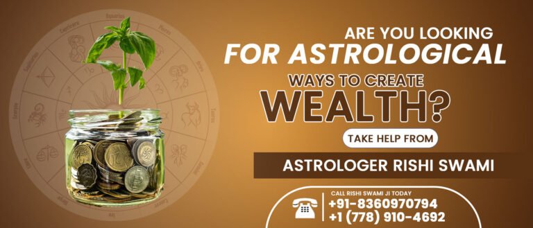 Best Astrologer in USA | Rishi Swami Ji
